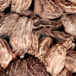 Sikkim Large Black Cardamom