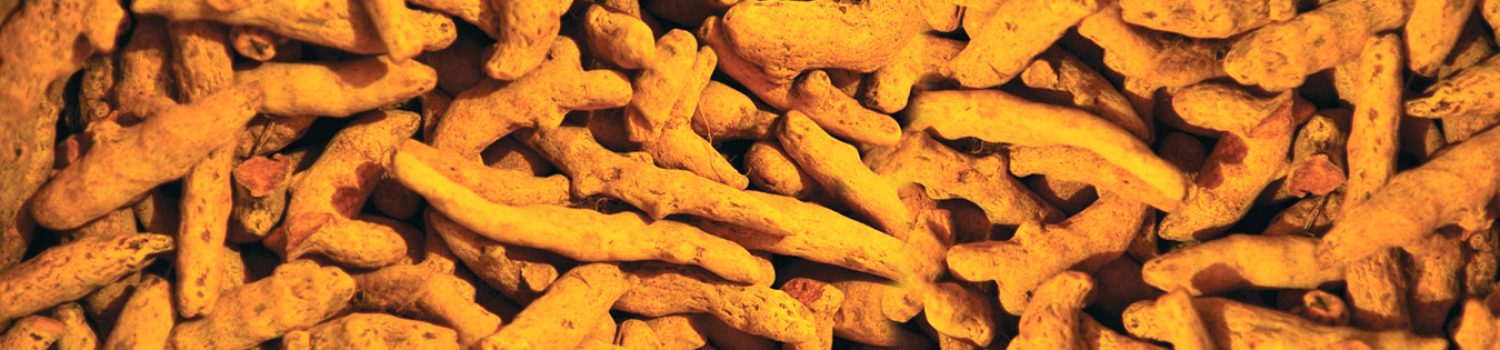 Erode Turmeric - Organeck Sources India